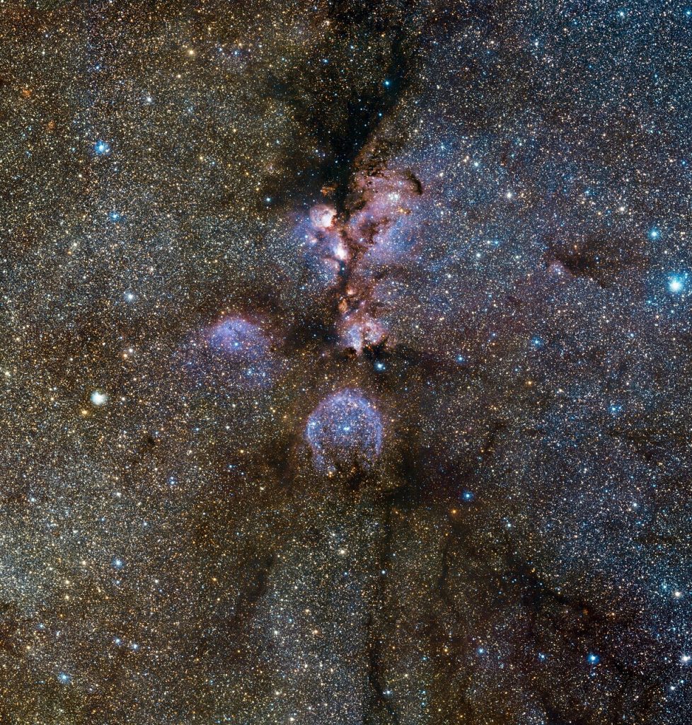 Una Vorace Protostella nella Zampa di Gatto | Accademia delle Stelle